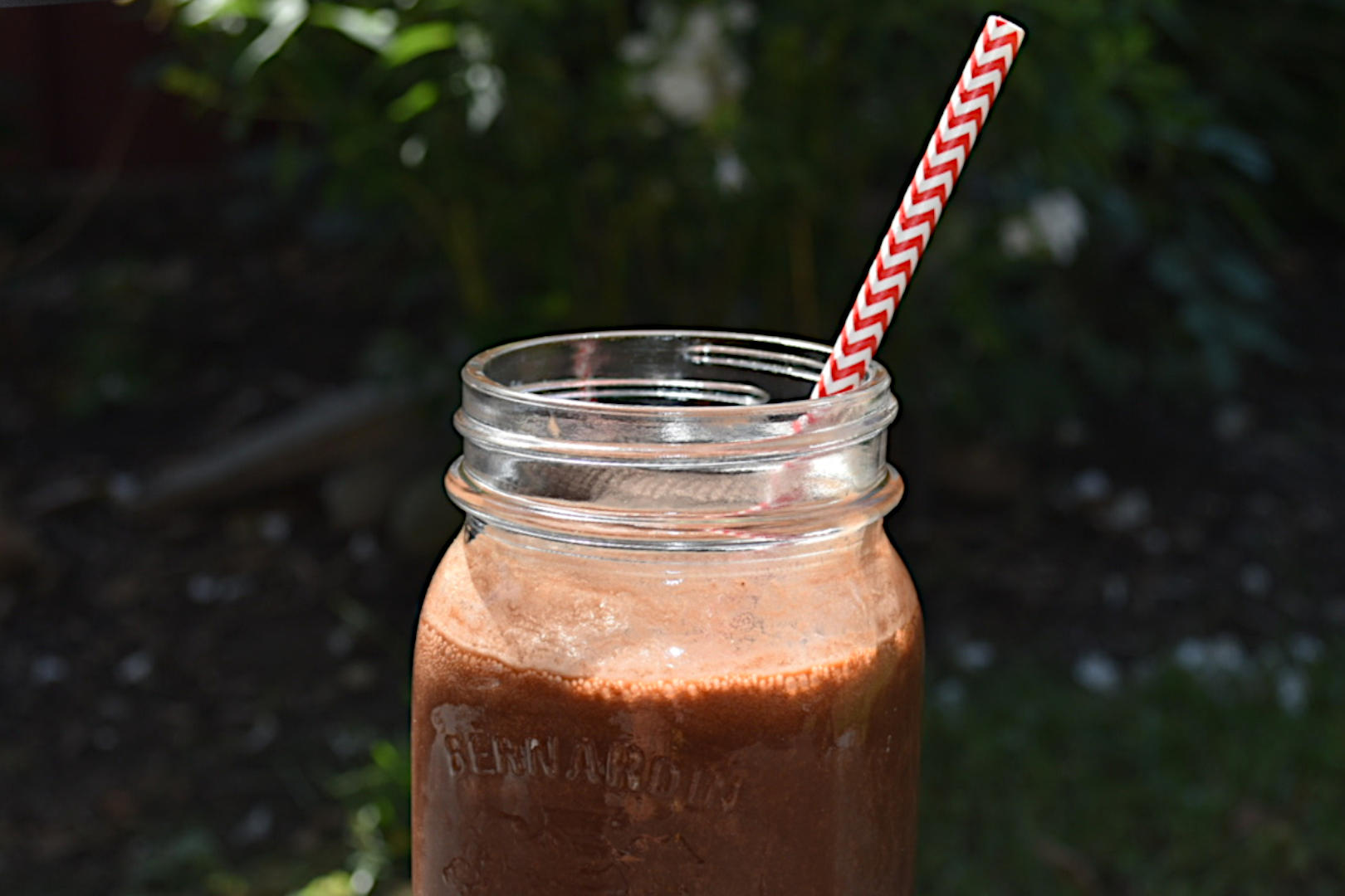 Choco-Nana Protein Shake : VegHead